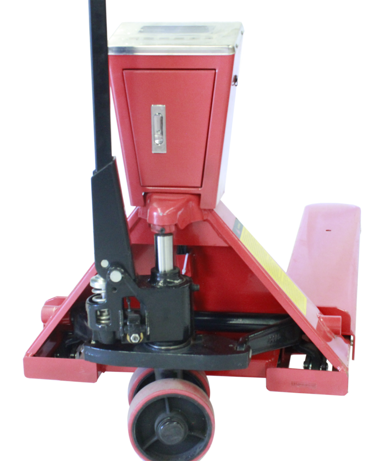 Patin con Bascula New Line - New Line International